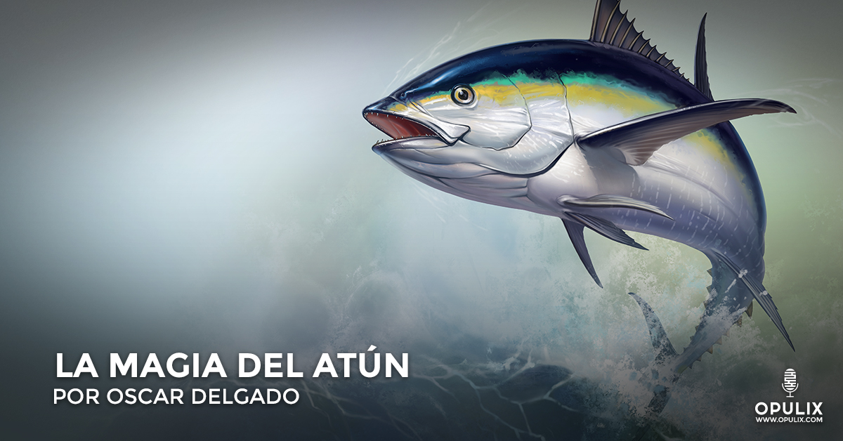 La magia del Atún - Opulix