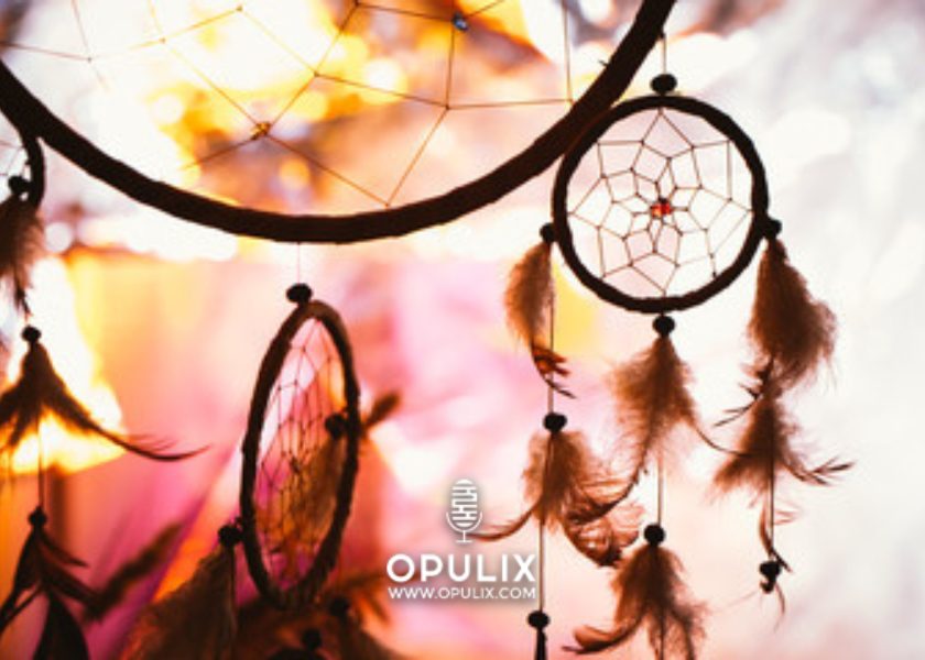 DEFENDAMOS NUESTROS SUEÑOS - Opulix